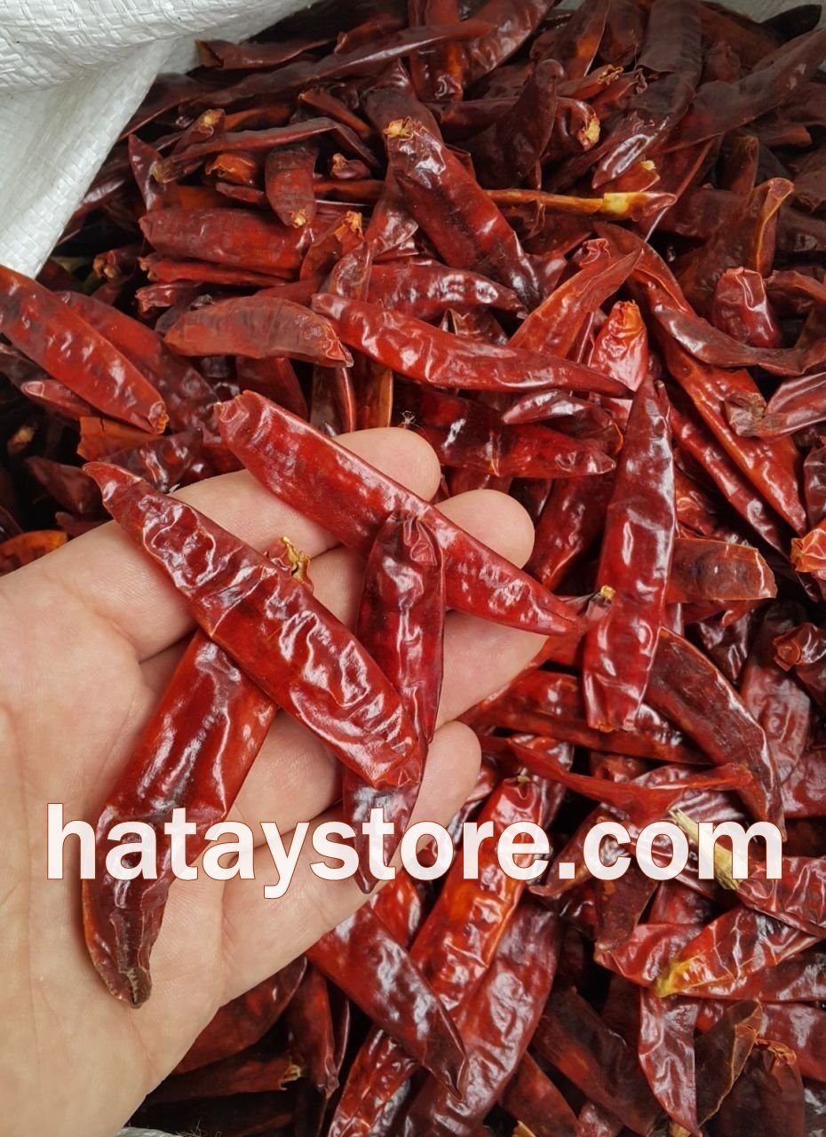 Kuru Süs Biber 100 gr Atom Biberi ÇOK ÇOK ACI!!!